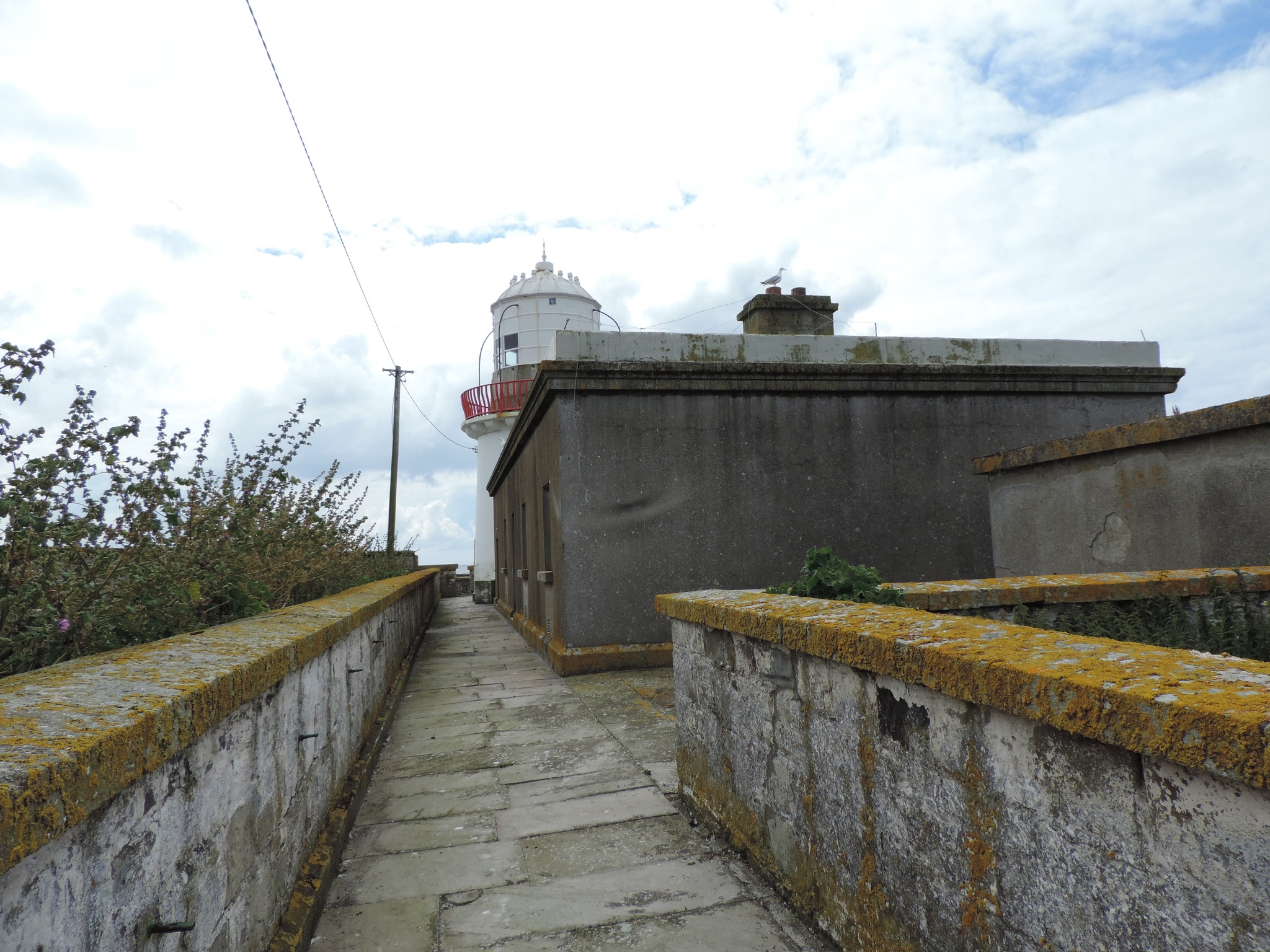 A hermit, a lighthouse, a hidden garden – Colin Brady